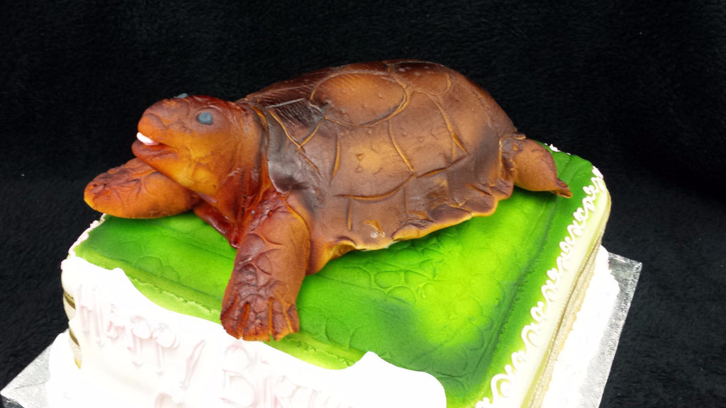 Tortoise Birthday Cake – celticcakes.com